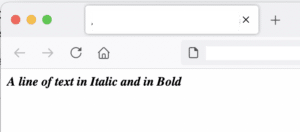 How to make text Italic in HTML - programmerAbroad