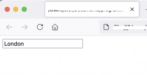 How to add a text field in HTML - programmerAbroad
