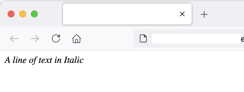 How To Make Text Italic In Html Programmerabroad