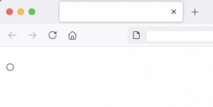How to add a radio button in HTML - programmerAbroad