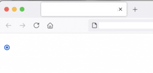 How to add a radio button in HTML - programmerAbroad