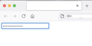 How to add a password field (textbox) in HTML - programmerAbroad